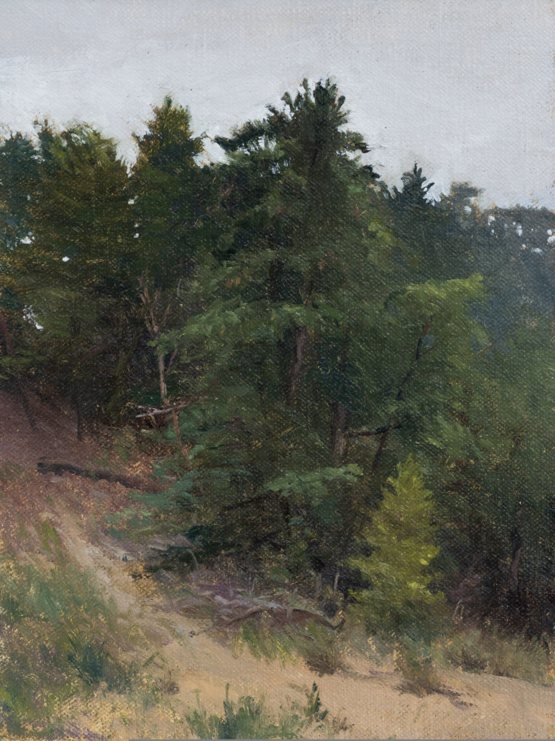 Eric Leichtung [RA 2021] : Crested dune, 2021. | Salmagundi Club
