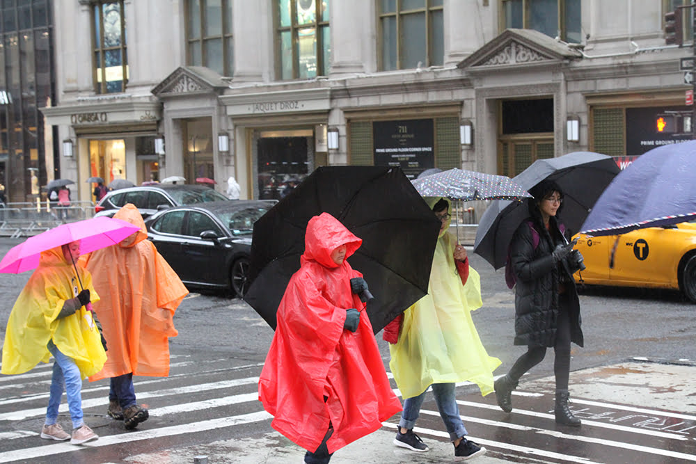 Susan Friedland [NM] : NYC in the rain, 2021. | Salmagundi Club