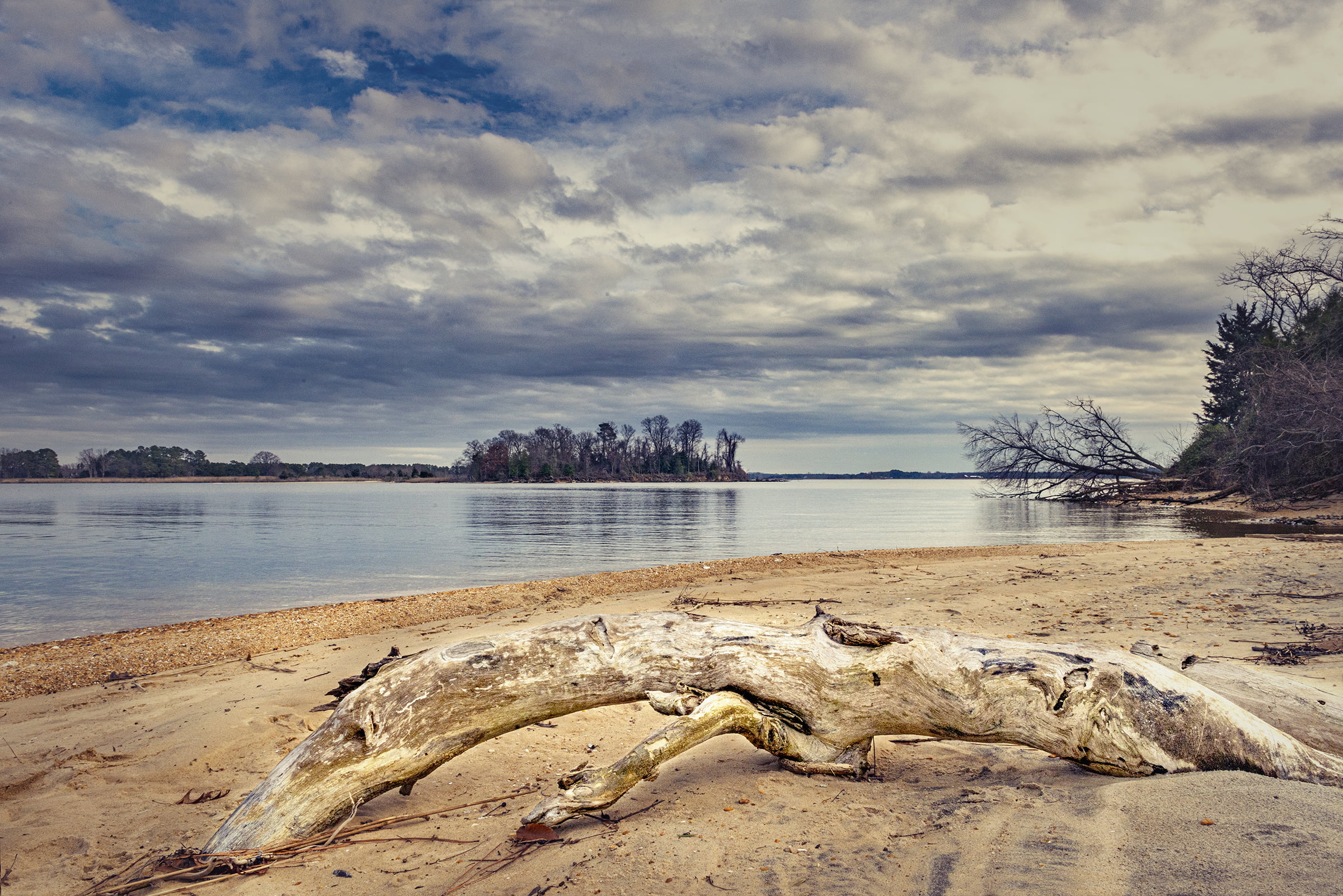 Laura Ducceschi [NM] : Washed up, 2021. | Salmagundi Club