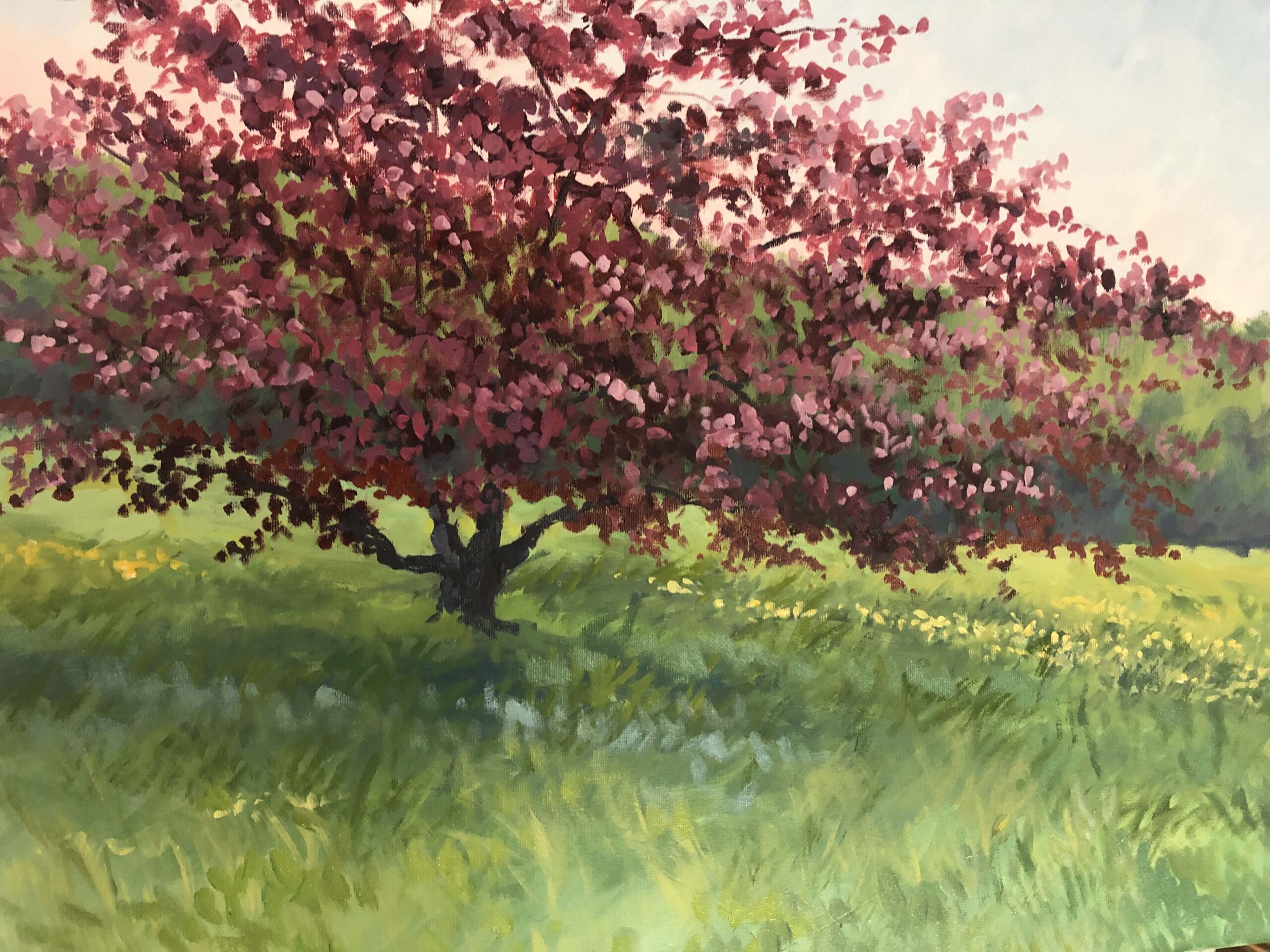 Robert Mansfield [NRA 2021] : Bronx Botanical Garden spring, 2021 ...