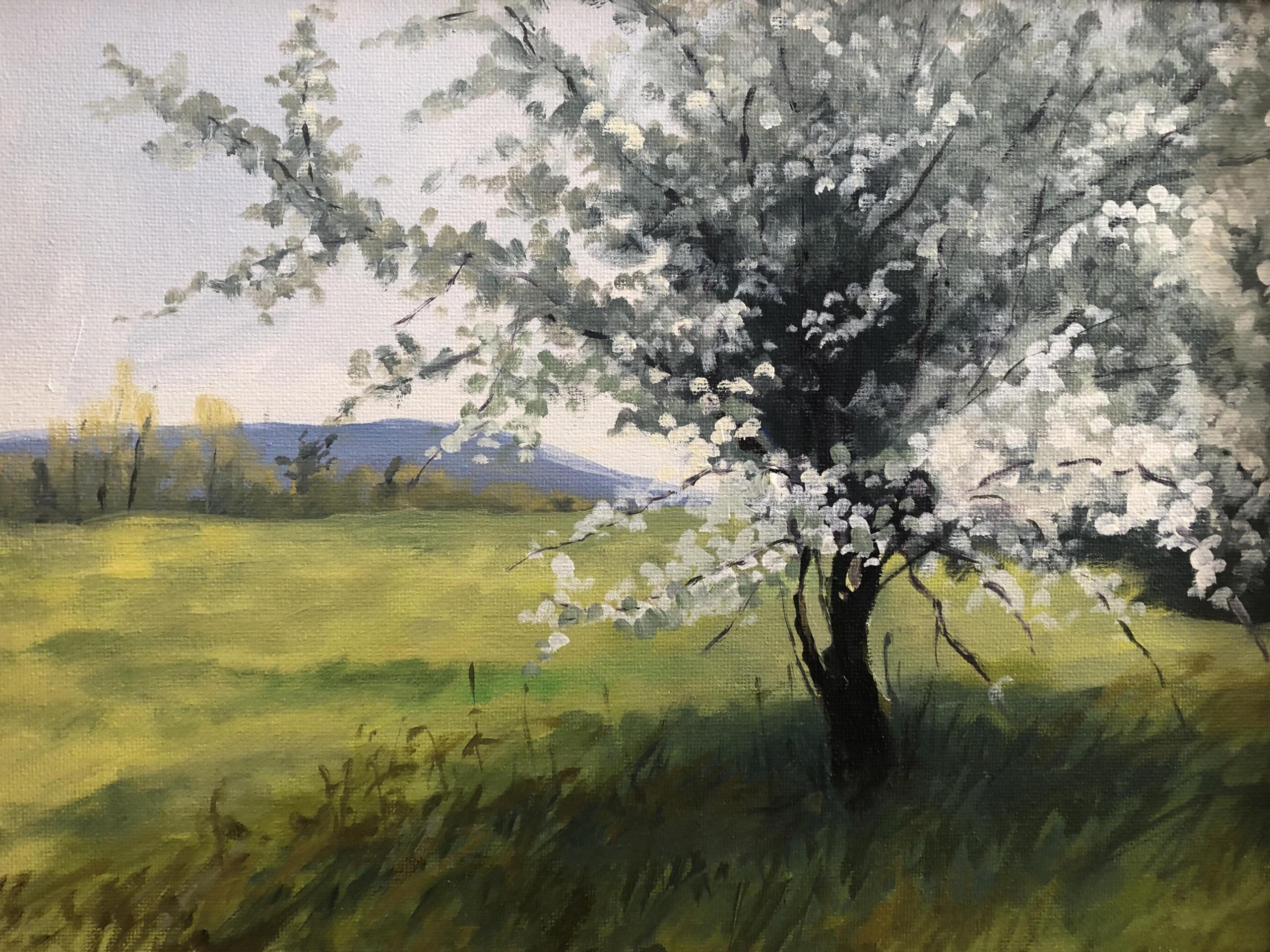 Robert Mansfield [NRA 2021] : Mohnok crabapple blossoms, 2022 ...