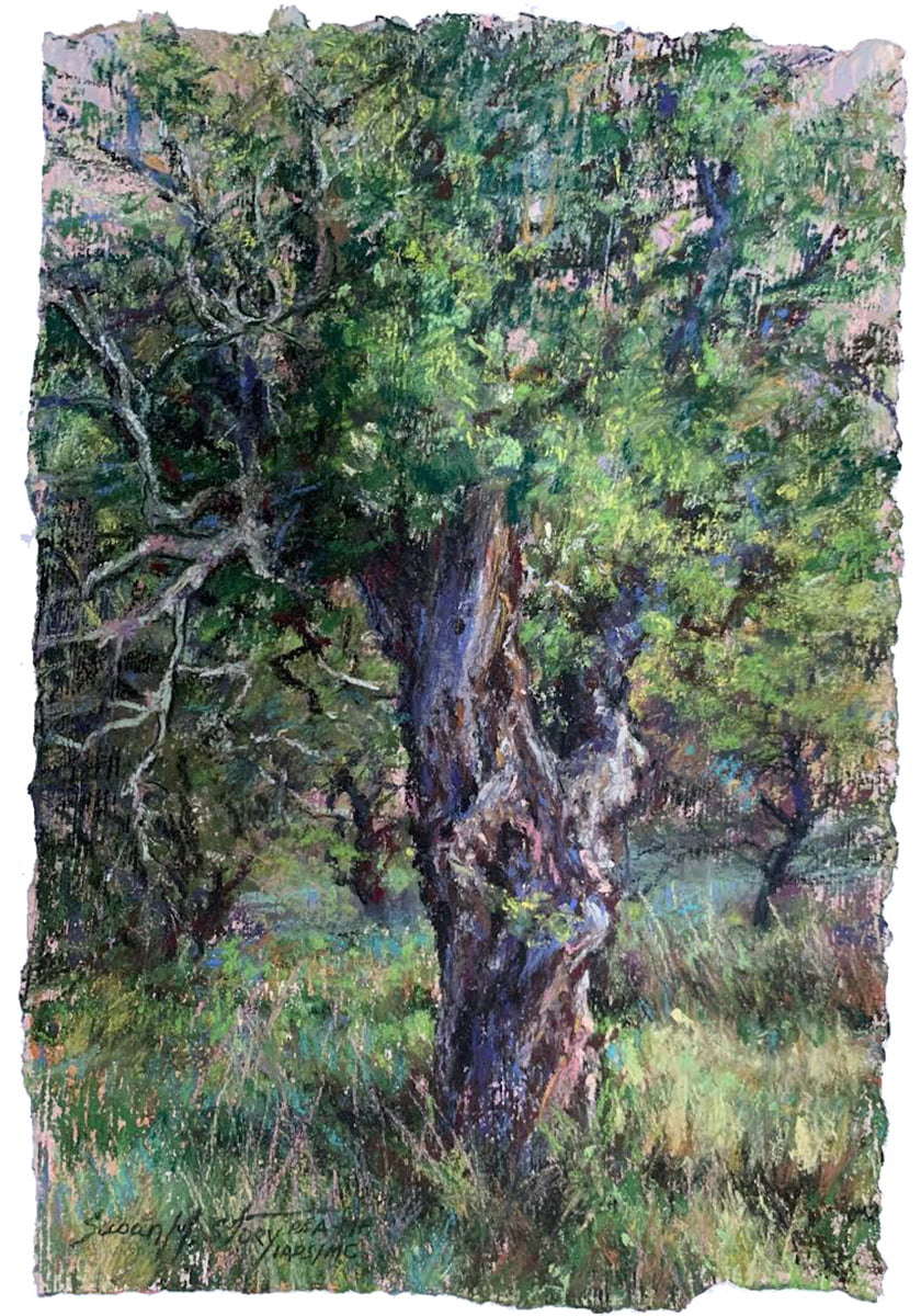 Susan M. Story [NRA 2013] : Old standby, 2021. | Salmagundi Club
