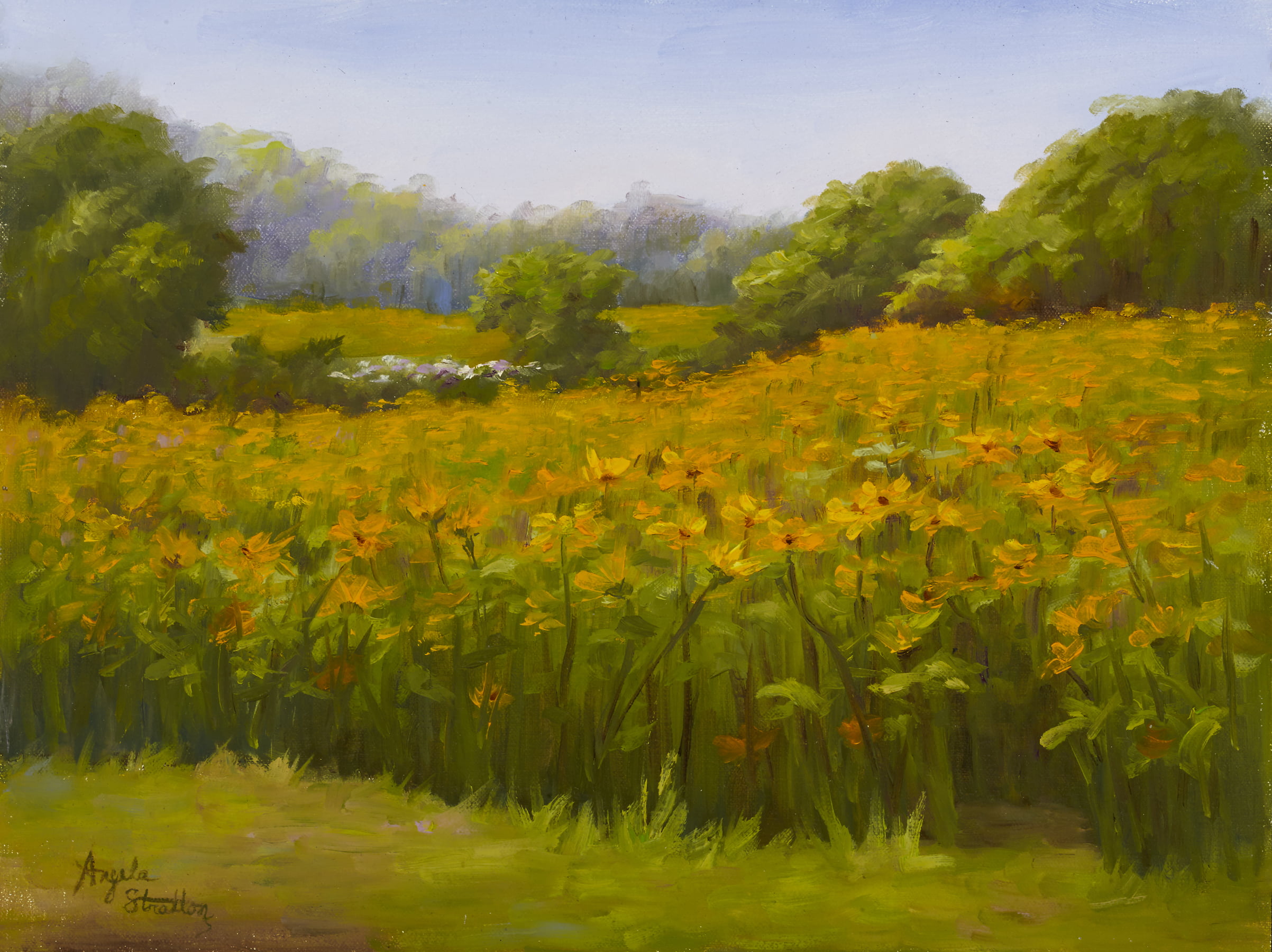 Angela Stratton [NRA 2007] : Field of wild flowers, 2022. | Salmagundi Club