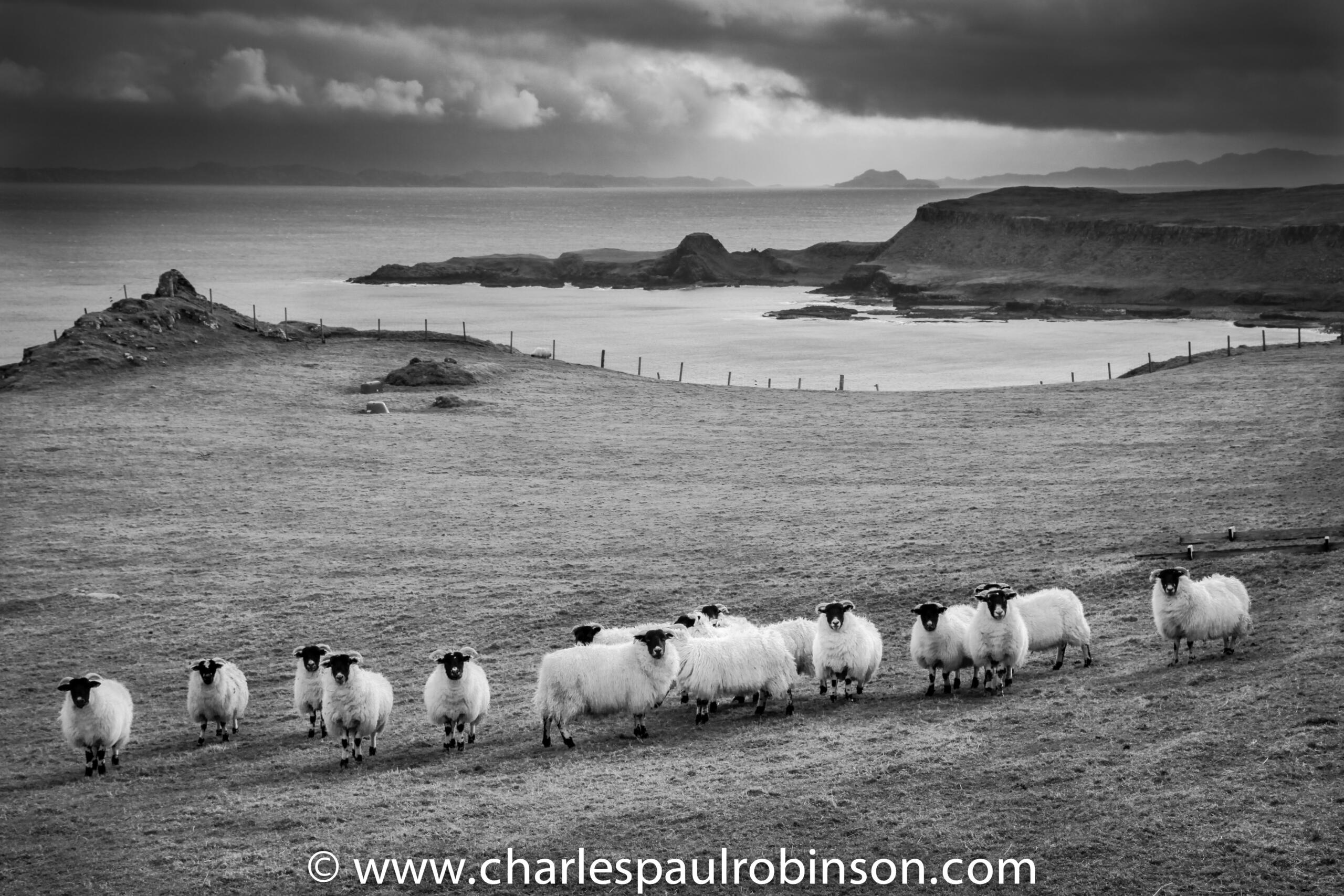 Charles Paul Robinson [NRA 2021] : Sound of Raasay, 2020. | Salmagundi Club