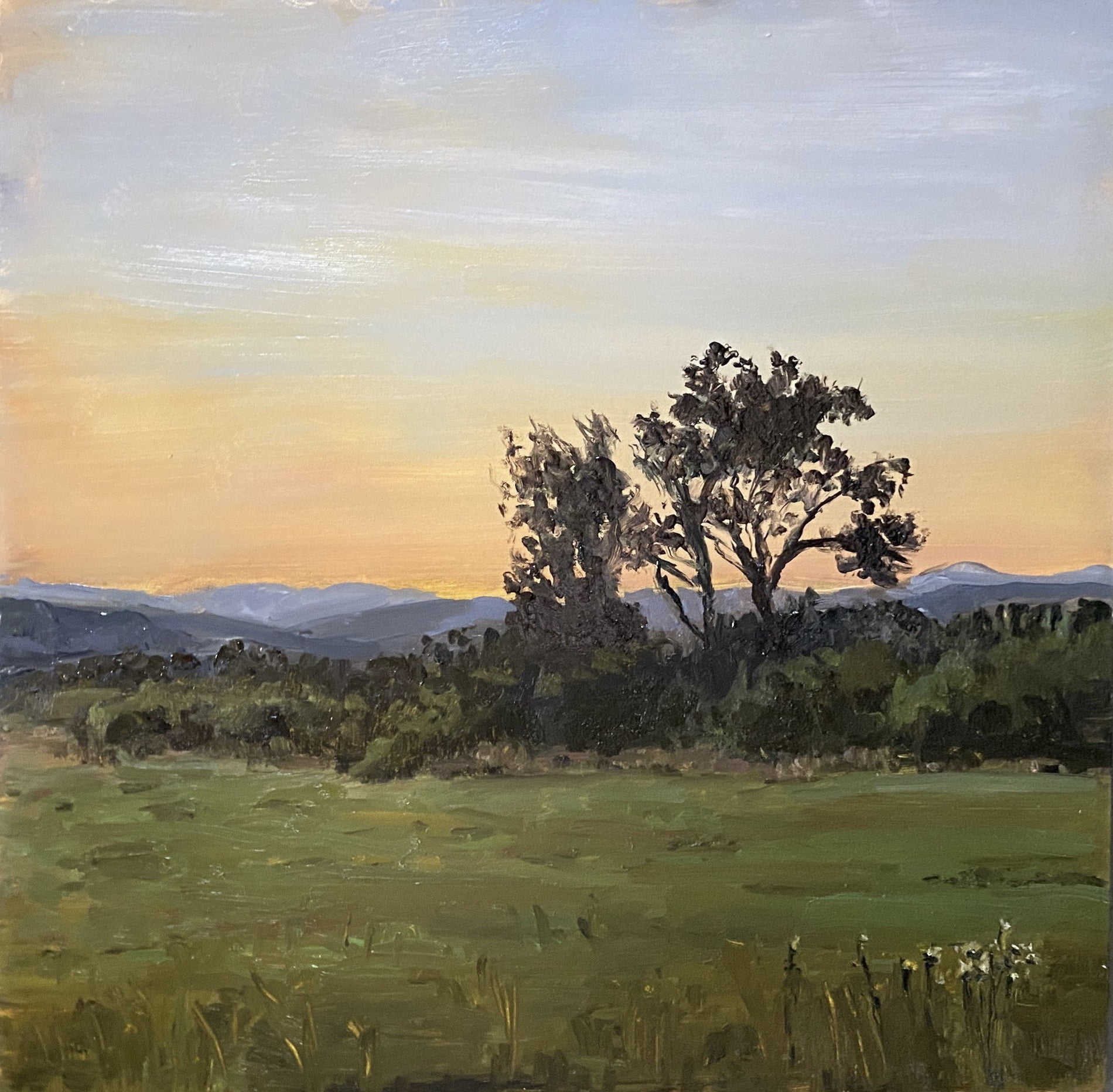 Donna Lewinter [RA 2019] : Tree whisperer, 2022. | Salmagundi Club