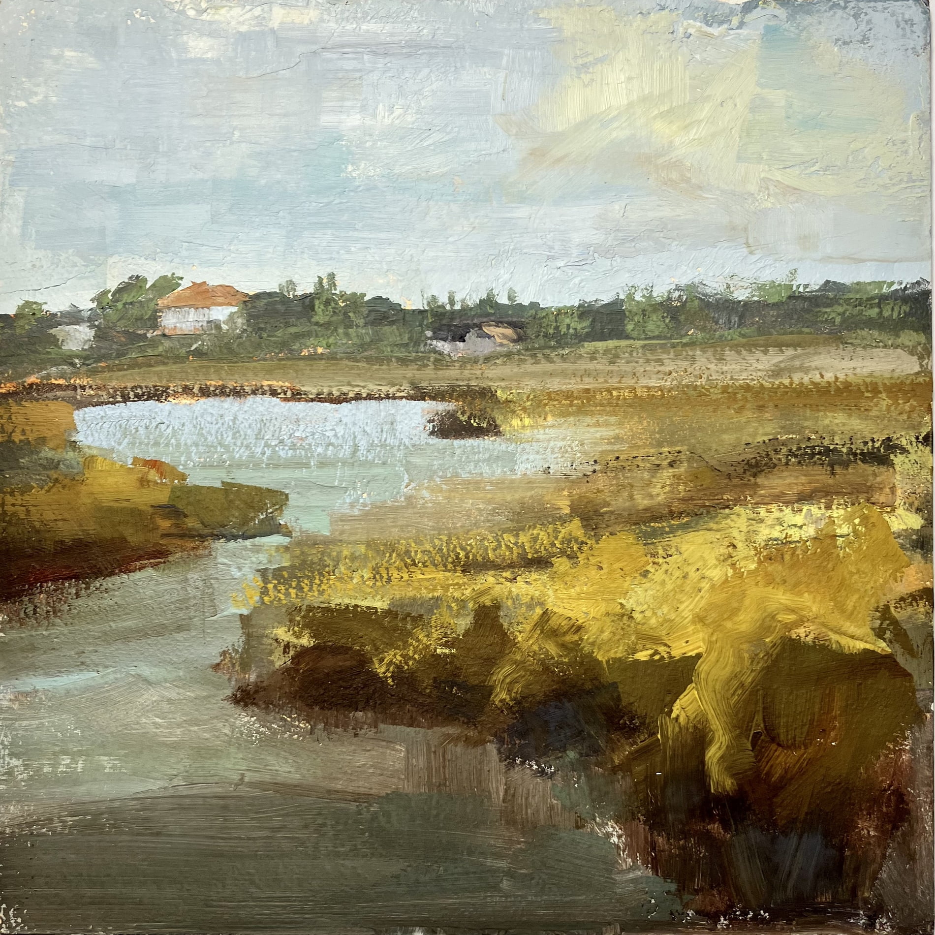 Edward Lisi [NM] : Carolina marsh, 2022. | Salmagundi Club