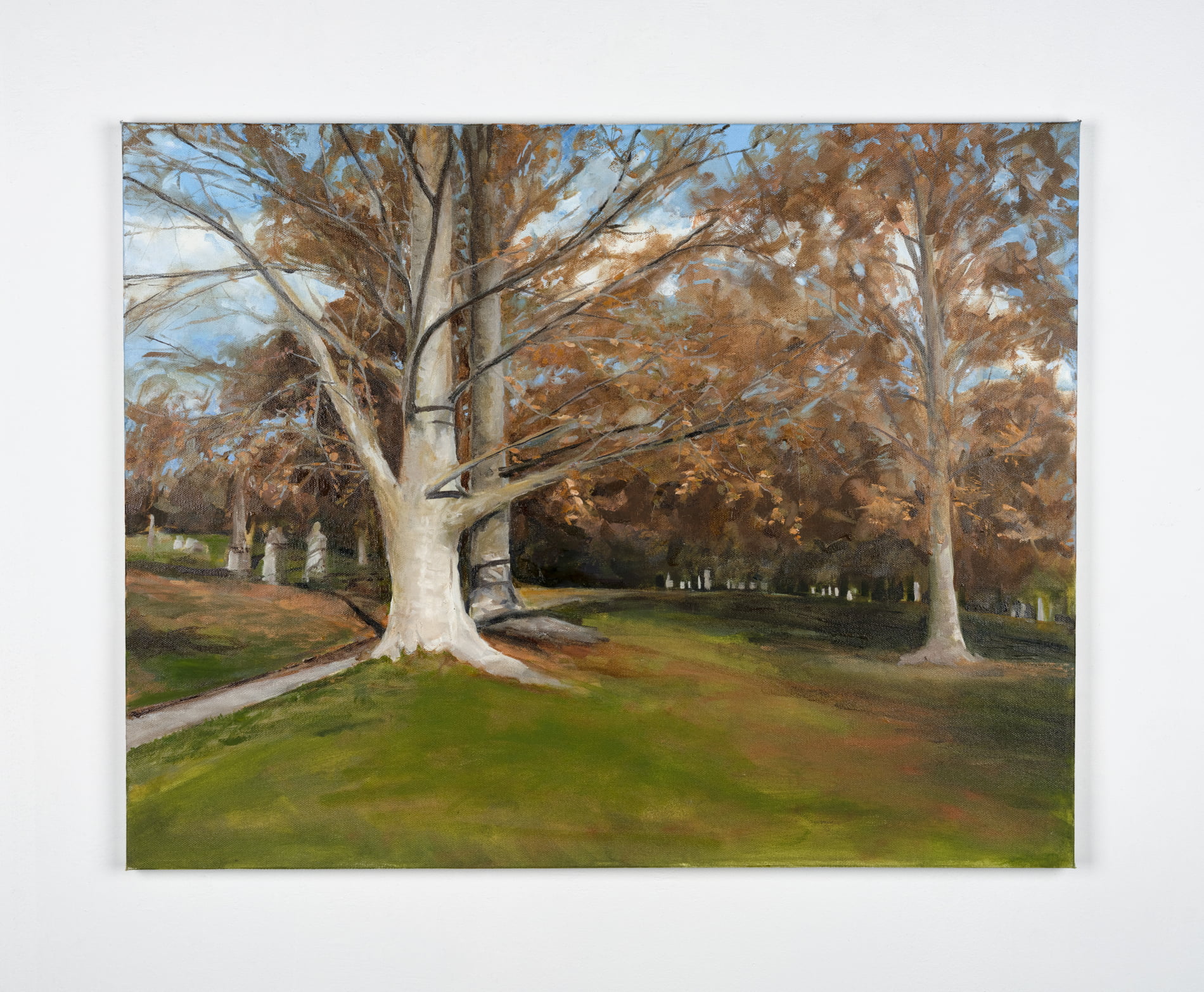 Kim Mathews [NM] : Beech Trees at Green-Wood cemetery, 2022 ...