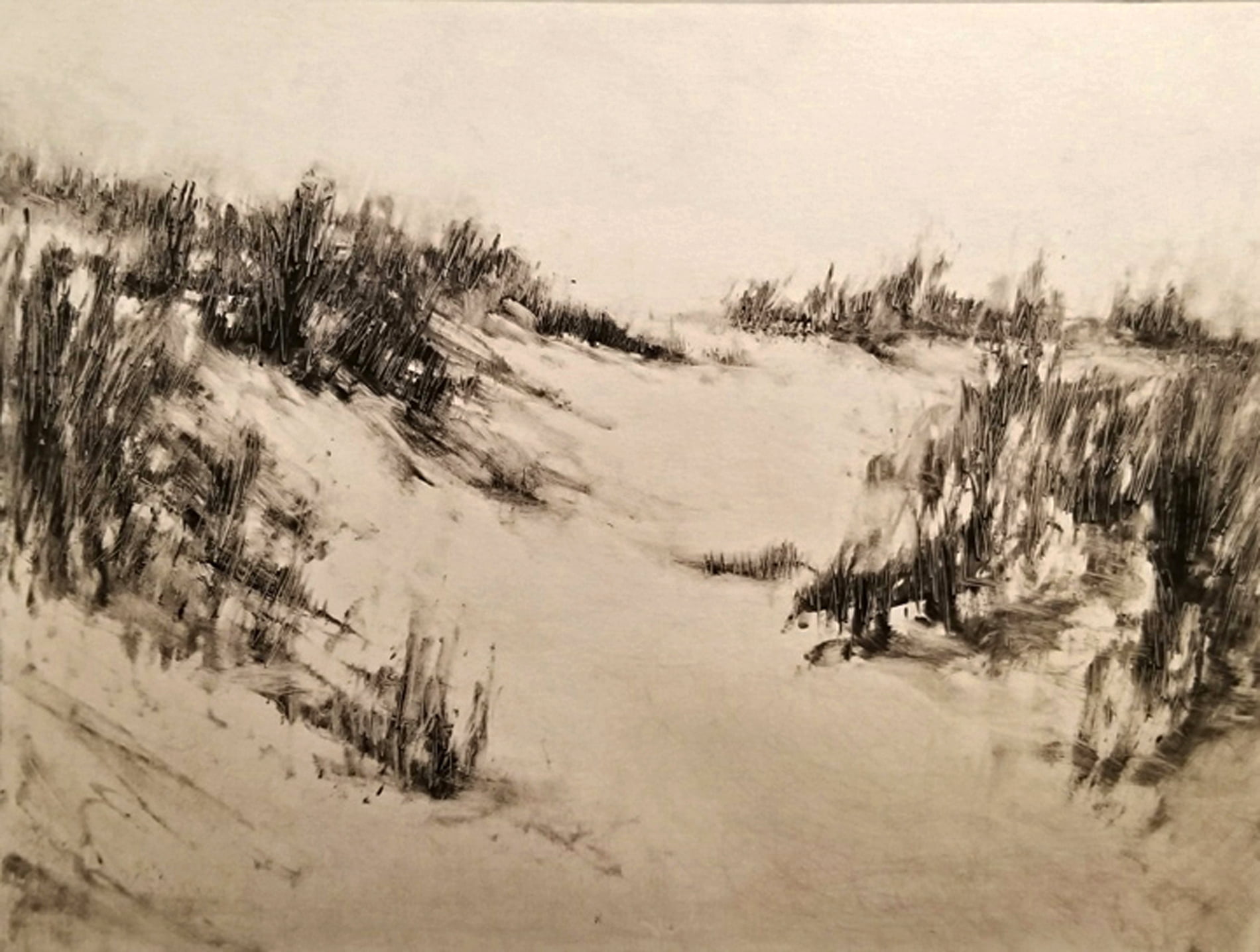 Julie Hopkins [NRA 2009] : Long Cove dunegrass, 2022. | Salmagundi Club