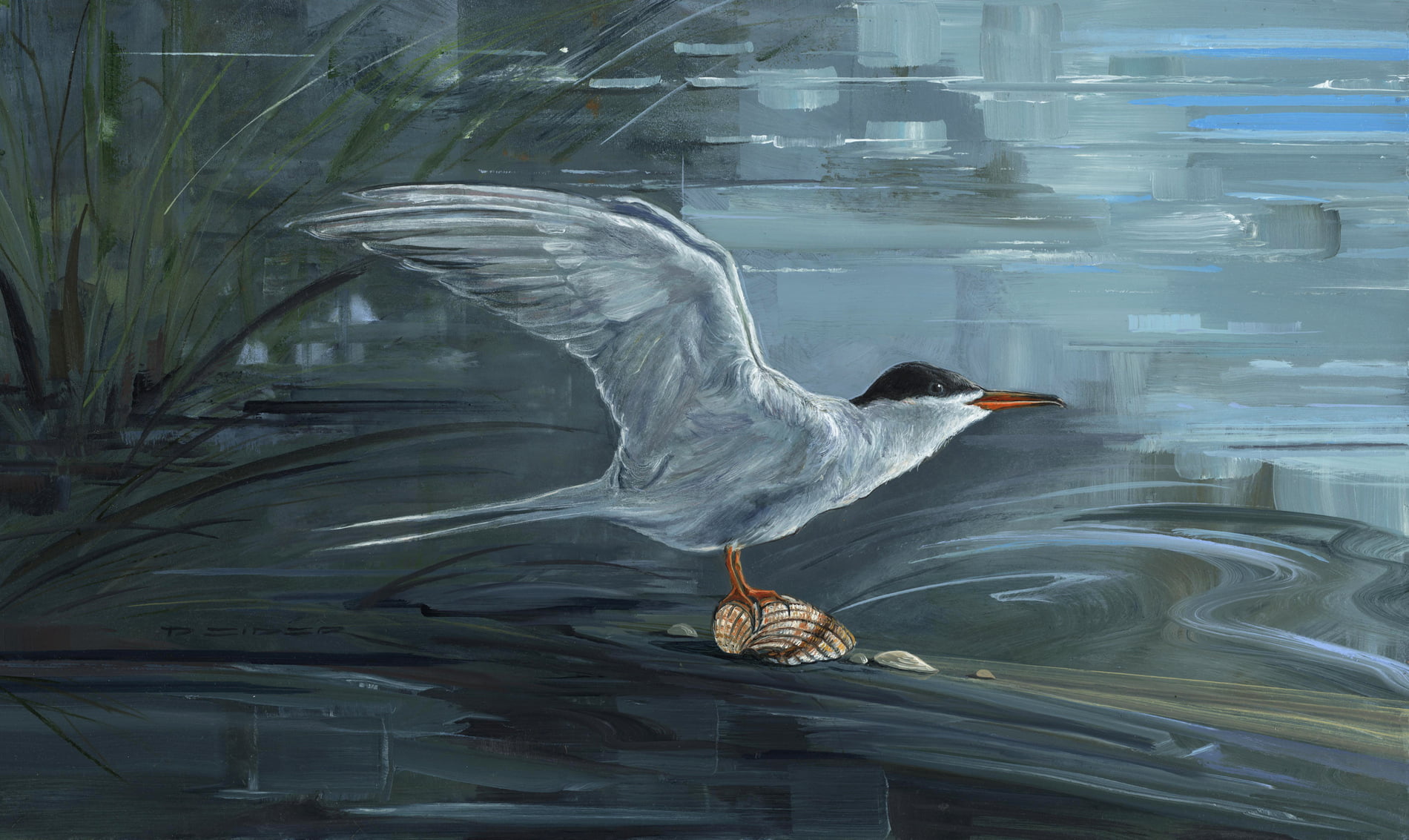 Doug Zider [RA 2015] : The Tern, 2022. | Salmagundi Club