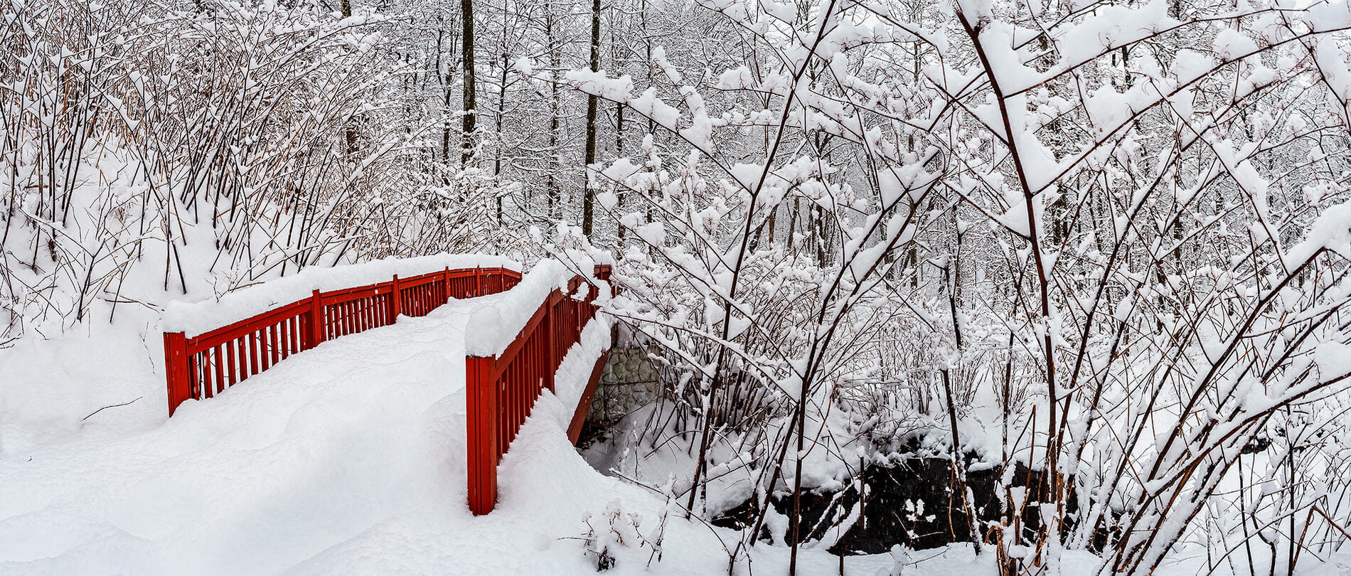 Ralph Greene [NM] : Winter's journey, 2022. | Salmagundi Club
