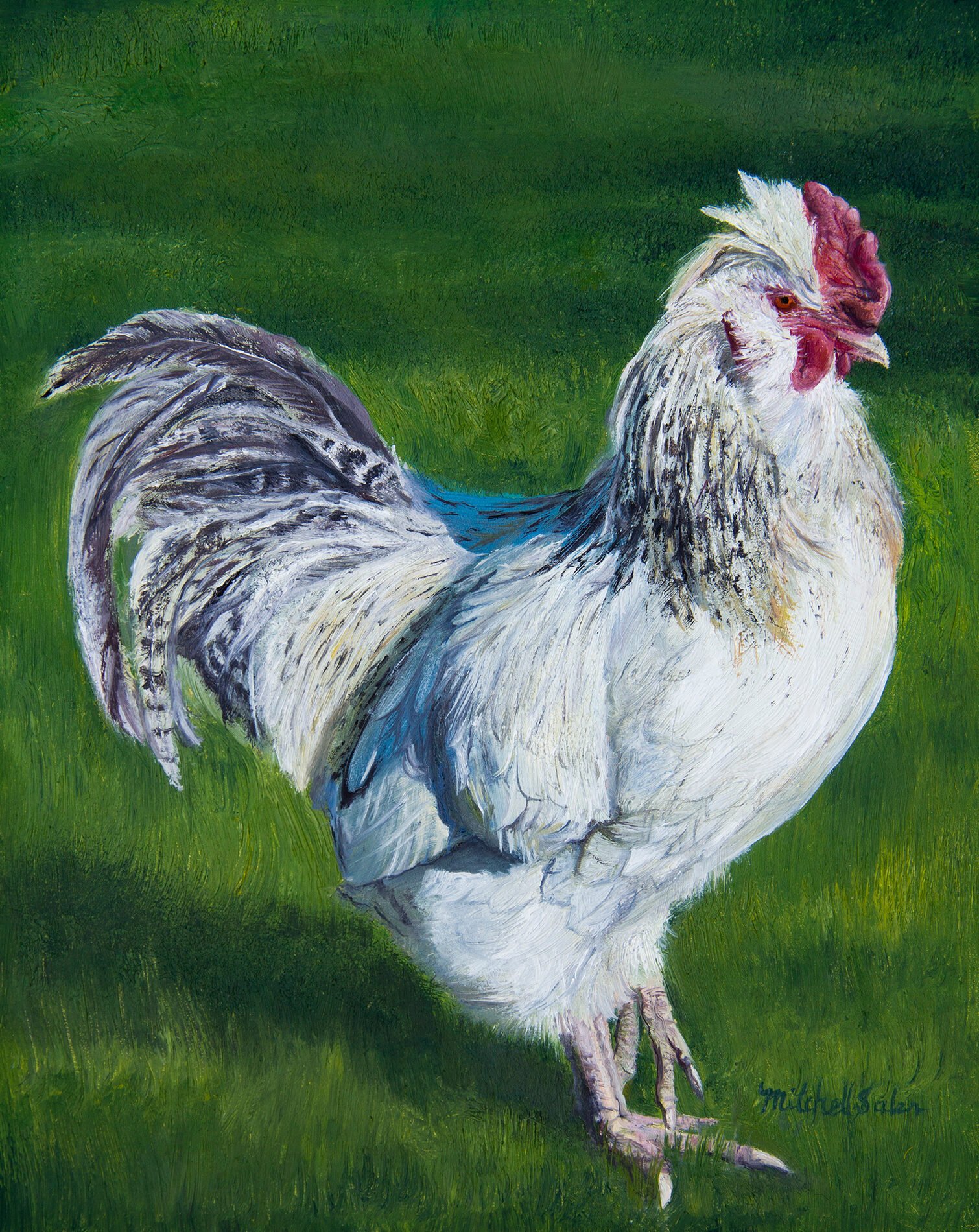 Mitchell Saler [JR RA 2018] : Rooster, 2022. | Salmagundi Club