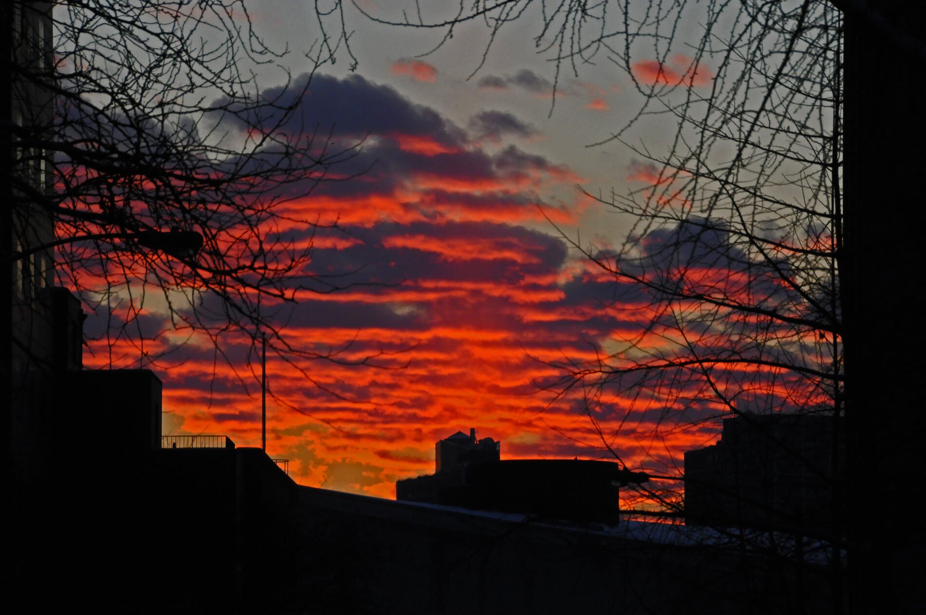 James Cohn [RA 2004] : Fiery dawn, 2022. | Salmagundi Club