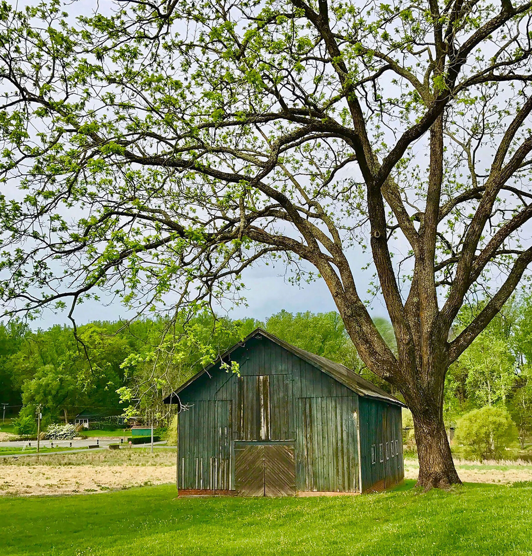 Mary McKenna Ridge [RA 2016] : Springtime tranquility, Virginia, 2023 ...