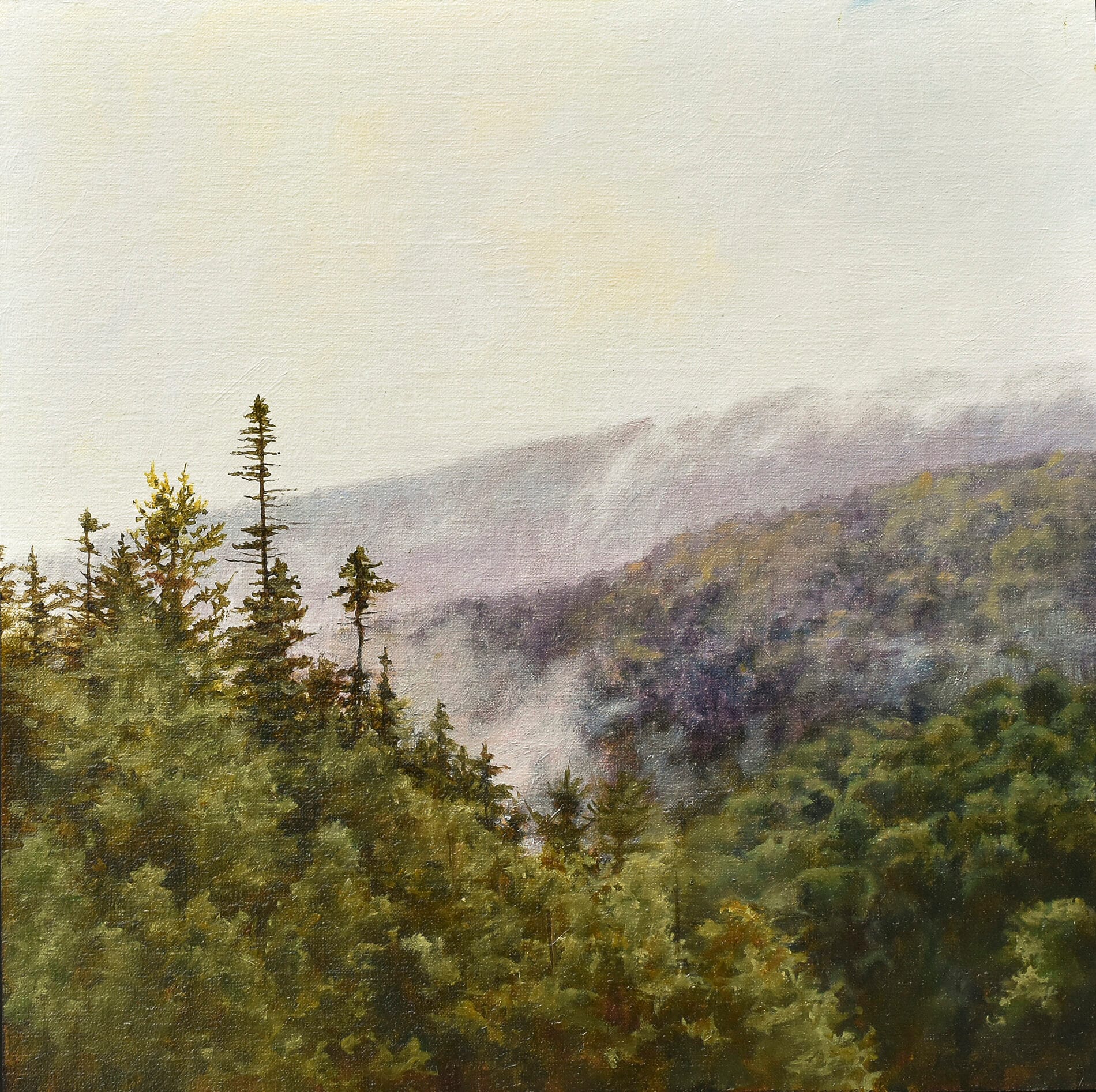 Mary C Graham [NRA 2018] : Above Nancy Cascades, 2023. | Salmagundi Club