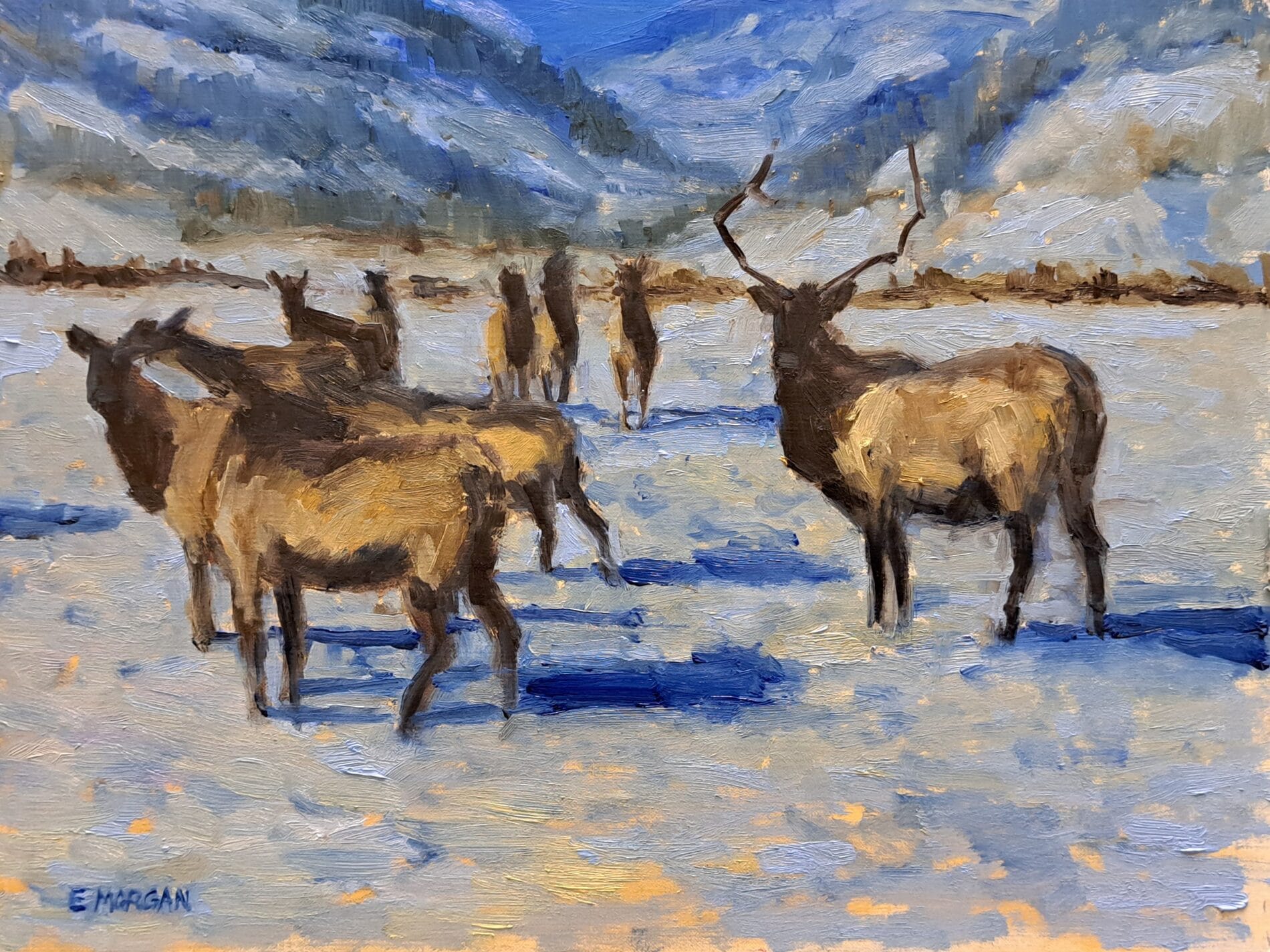 Elizabeth P Morgan [NRA 2022] : Wyoming obsession, 2023. | Salmagundi Club