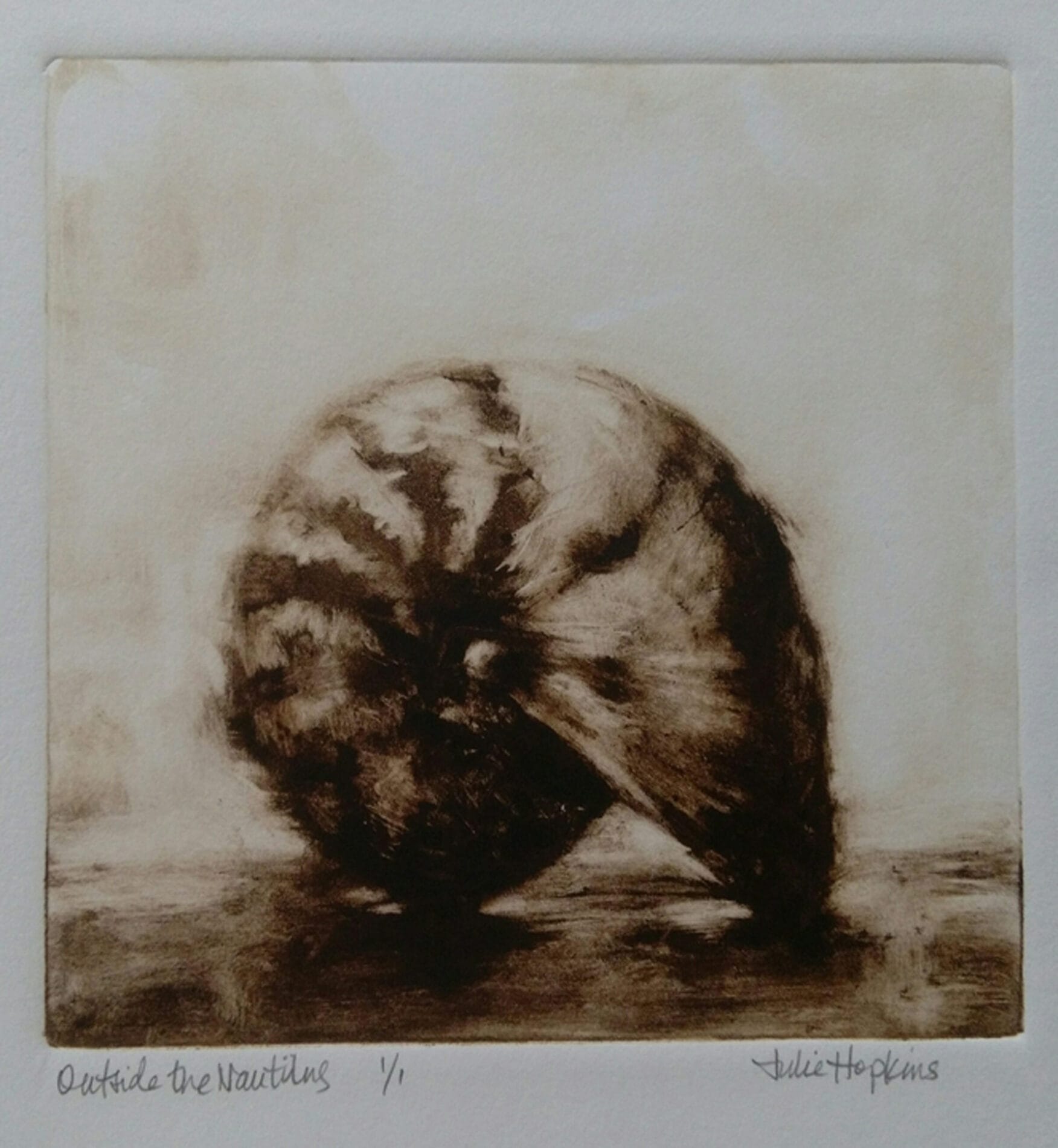 Julie Hopkins [NRA 2009] : Outside the nautilus, 2023. | Salmagundi Club