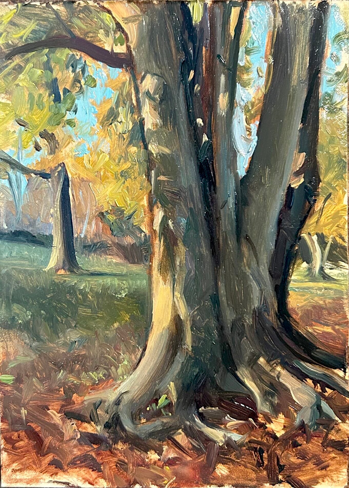 Marcus Pierno [RA 2016] : Woodland drive, 2023. | Salmagundi Club