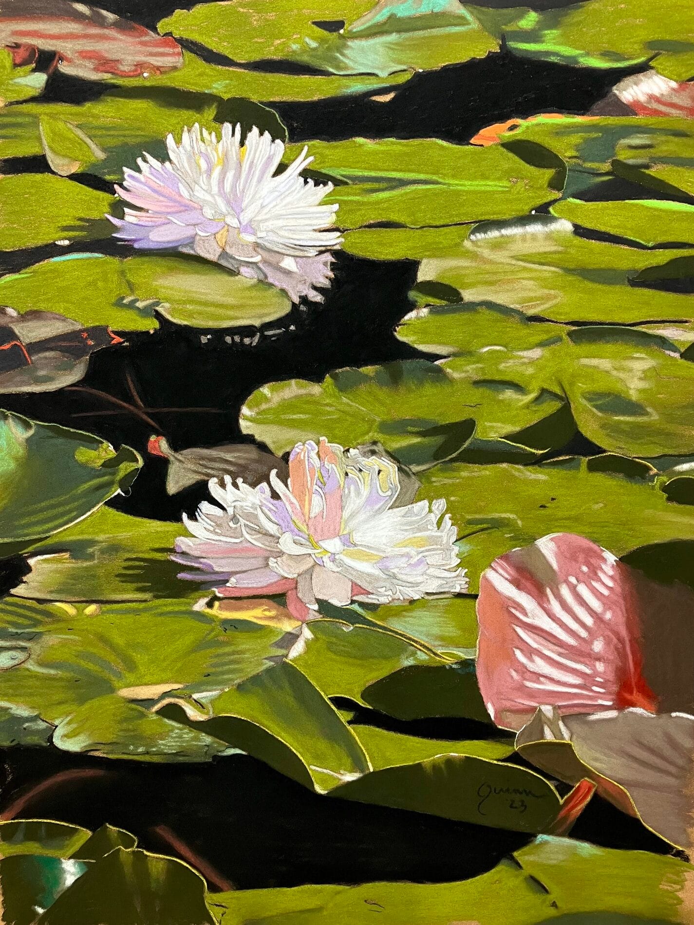 Jim Quinn [NRA 2022] : Water lilies 3 | Salmagundi Club