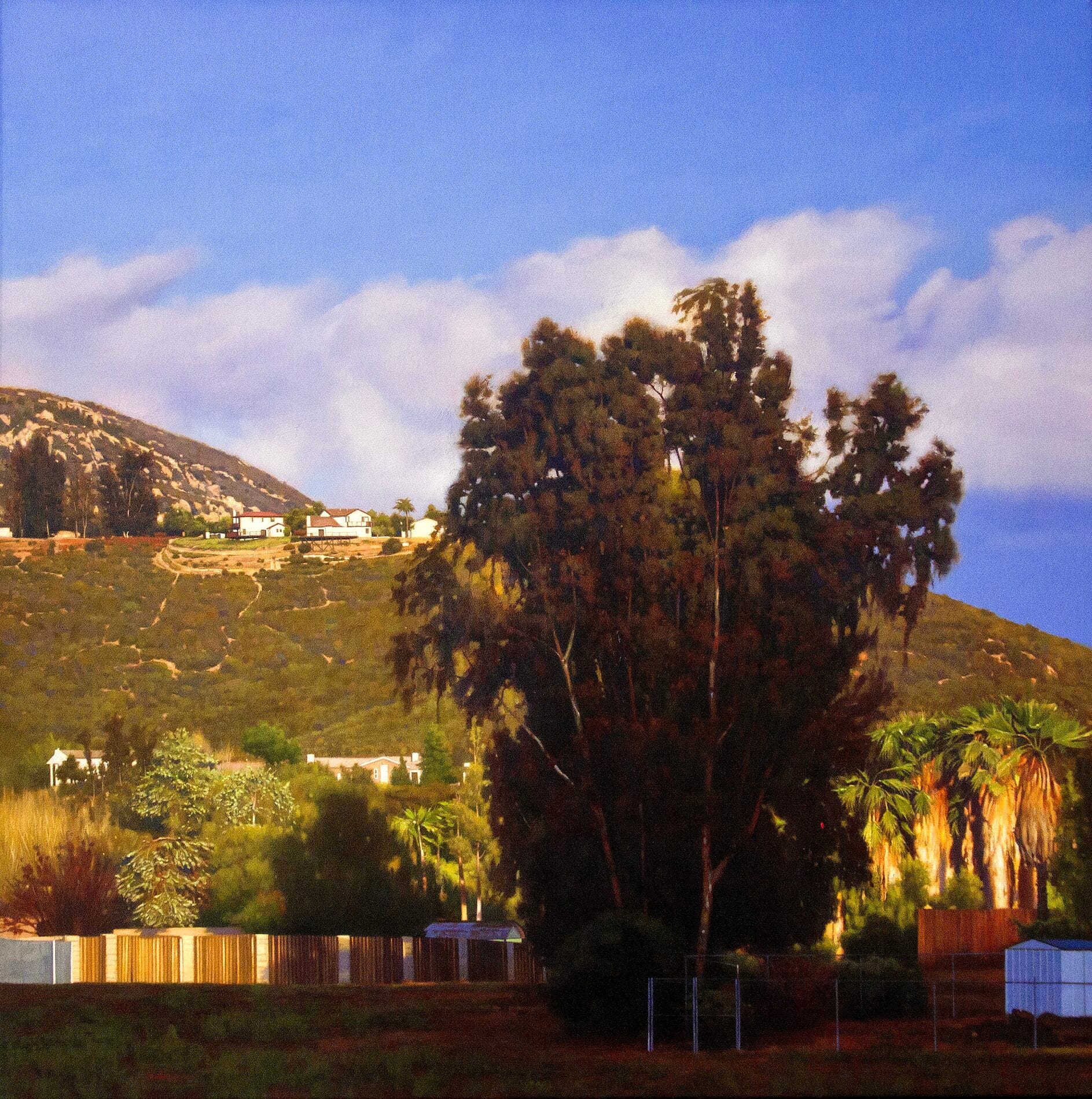 Gary Godbee [NM] : Late afternoon, Ramona, CA | Salmagundi Club