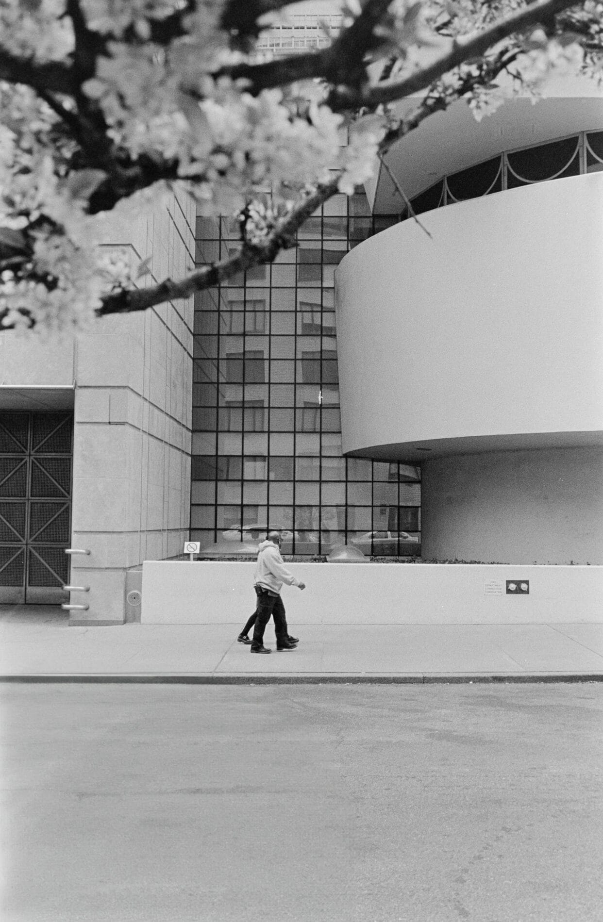 Joseph Seiler [JR RA 2024] : Stroll | Salmagundi Club